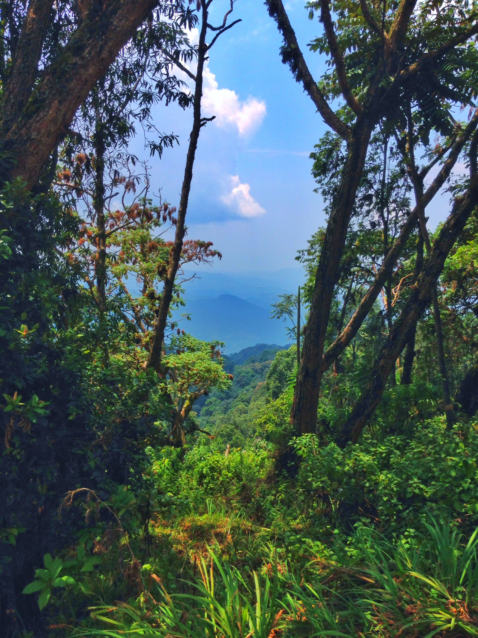 Hidden gems between hills and valleys in Rwanda | aSabbatical