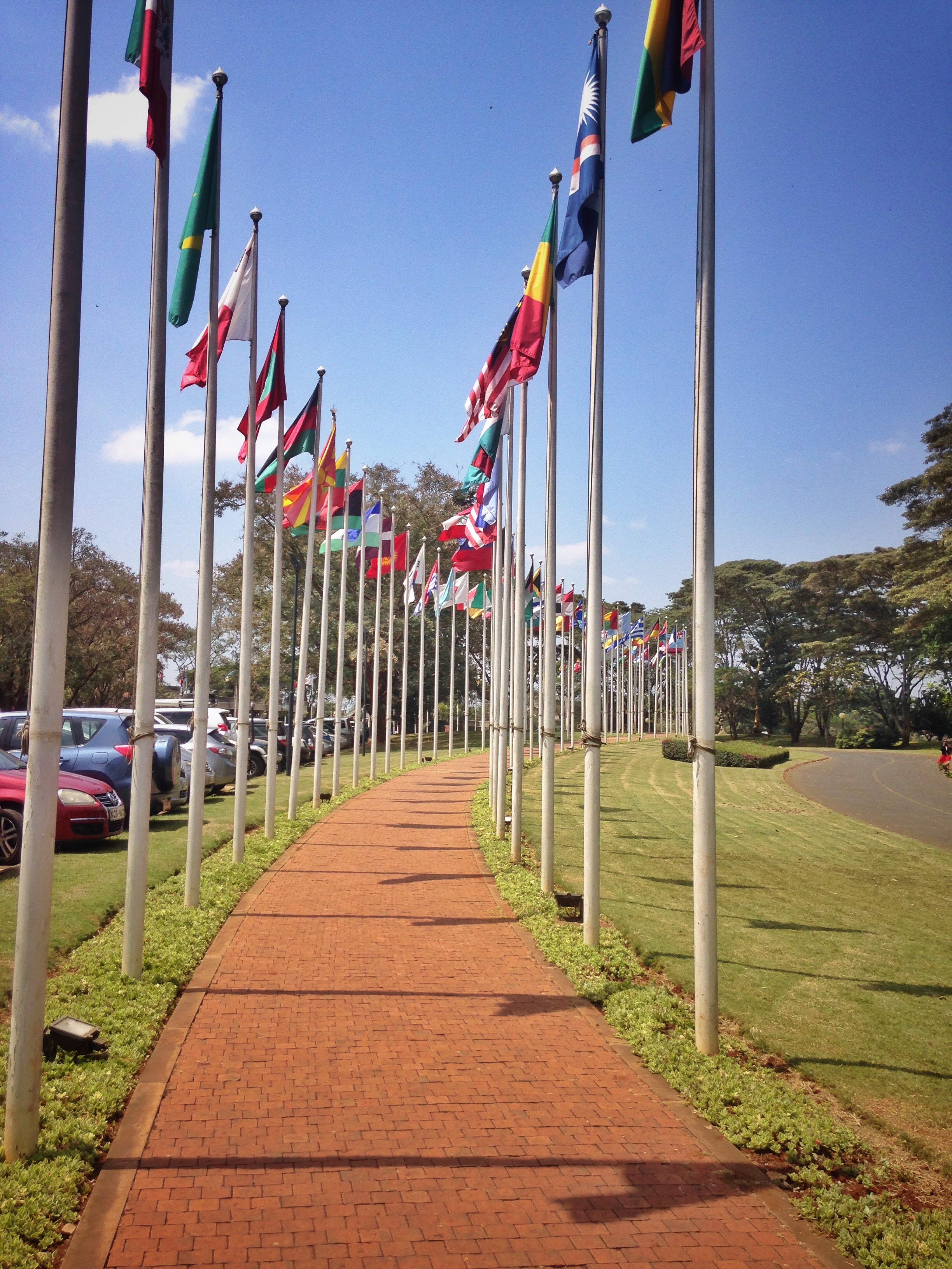 World Map to Navigate Direct Democracy Policies | aSabbatical